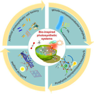 How Bio-Inspired Semiconductors can Enable Unbreakable Phones - techovedas
